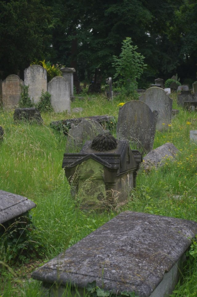 Symbol of the month – the wheatsheaf – shadows fly away