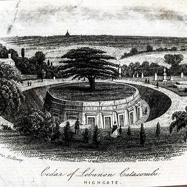 Highgate Cemetery mourns loss of 200-year-old cedar tree which ‘felt ...