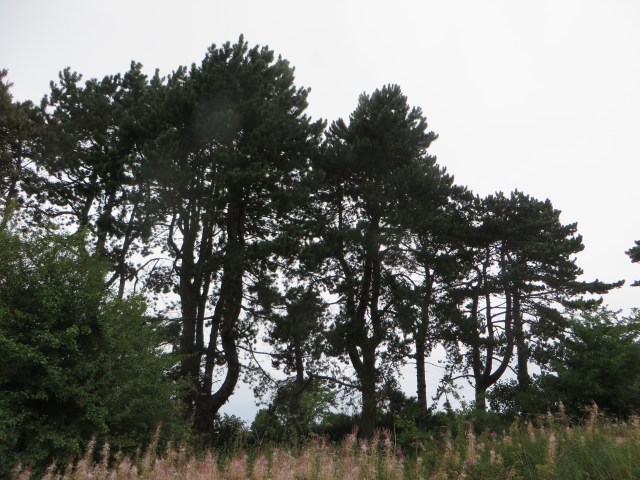 The place that haunted me for nearly 30 years – the return visit to St ...